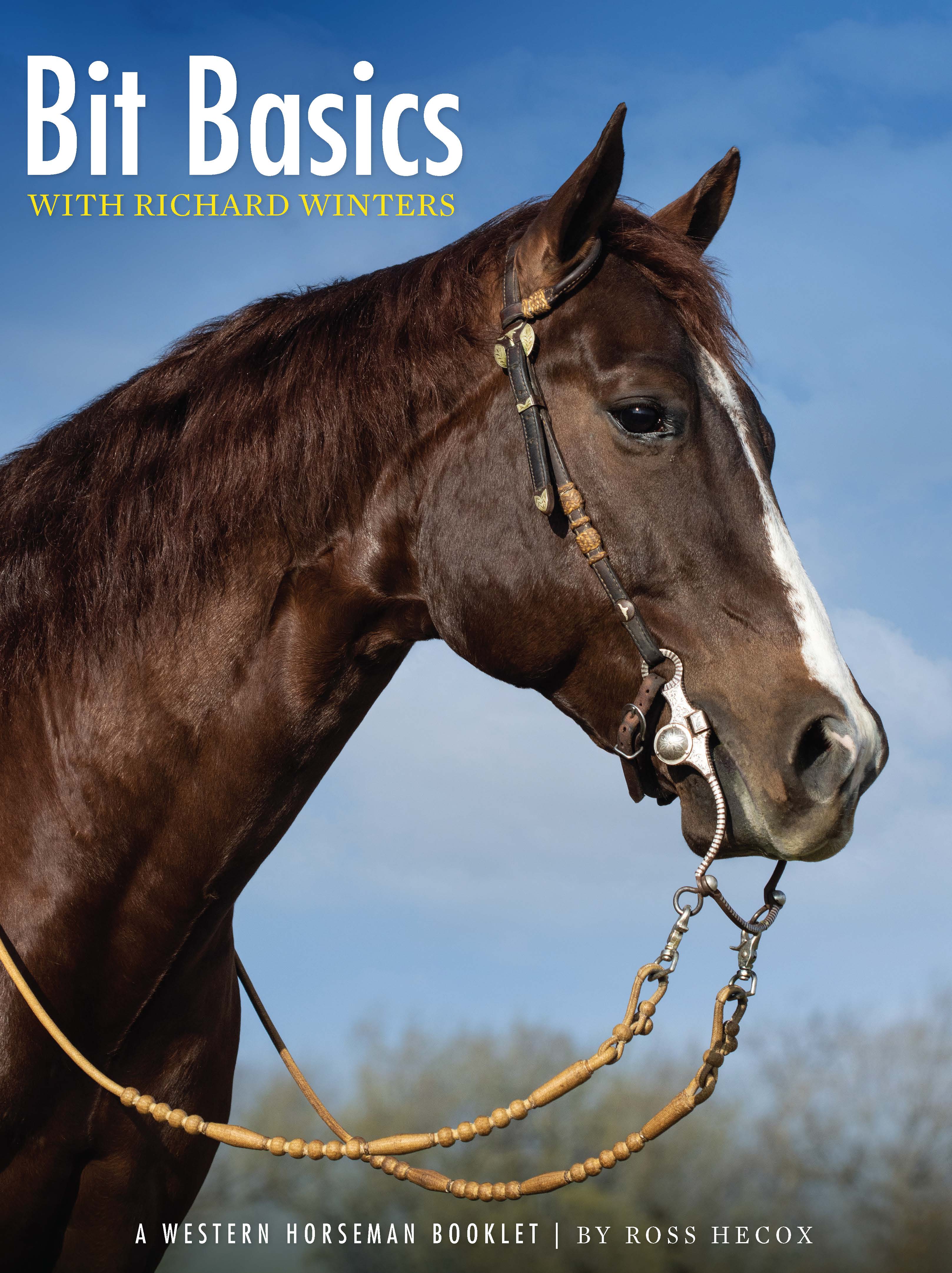 Bit Basics with Richard Winters – Western Horseman